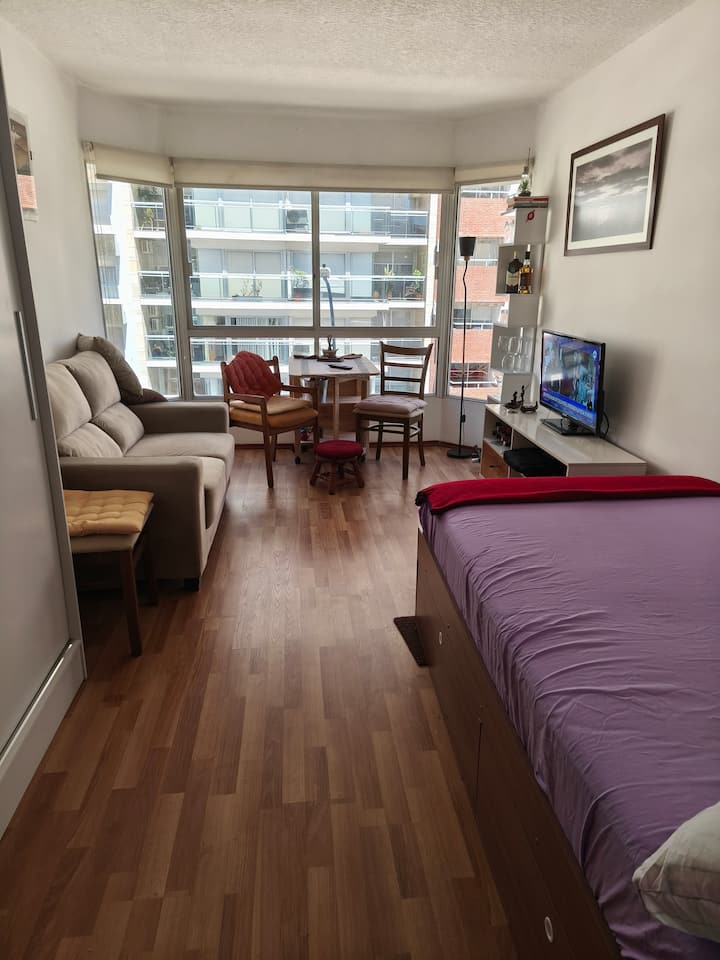 Agradable Y Funcional Monoambiente - Montevideo