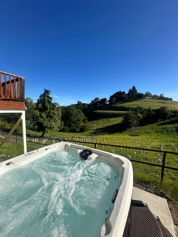 Serendipity Retreat-vineyard Hot Tub Dogs Welcome - Atascadero, CA