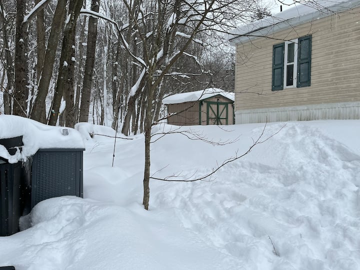 Chalet-ler In The Woods! - Seven Springs, PA