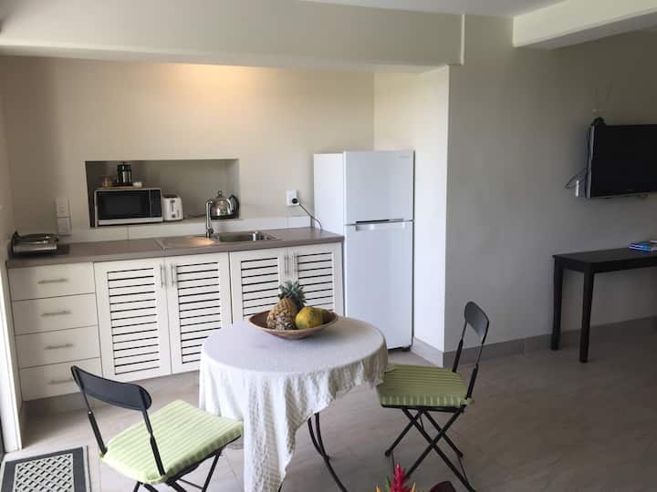 Studio With Spectacular Views To The Ocean - Apia