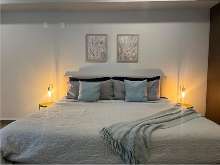 Gran Loft Con Ac Y Terraza. Café De Cortesía - León