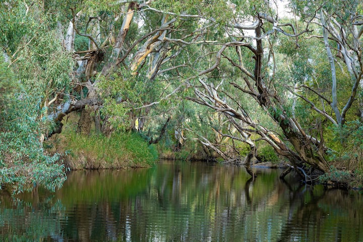 Secluded River Farm Cabin | Pet & Horse Friendly - Murrumbateman