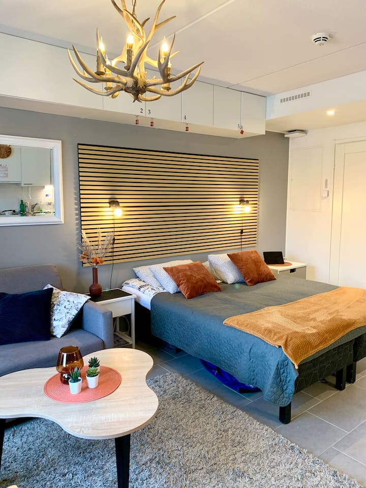 Centrum Studio With Sauna In Levi - Sirkka