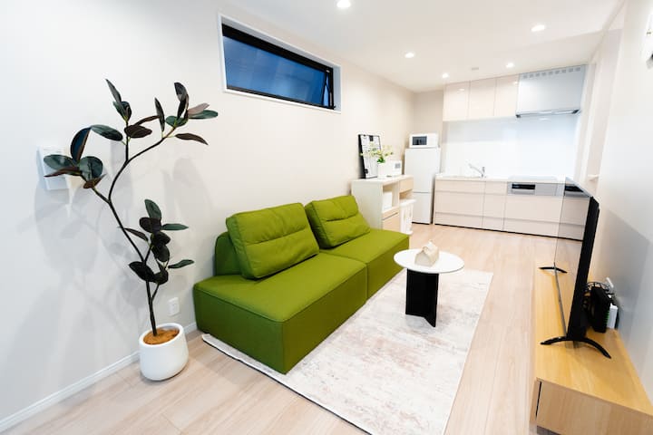 清莲|临近天王寺，双线地铁直达心斋桥、难波、梅田|到动物园前站5分，新今宮站9分钟|全新日式一户建 - Japan