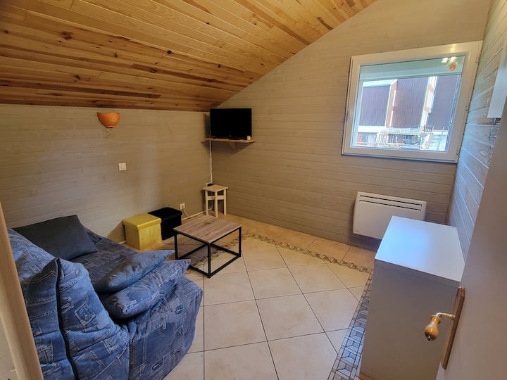 Appartement Familial Au Pied Des Pistes, Guzet - Guzet-Neige