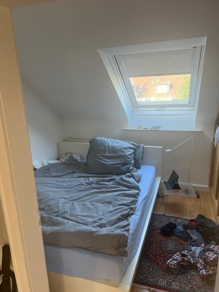 Helle Dachwohnung City Nah - Saarbrücken