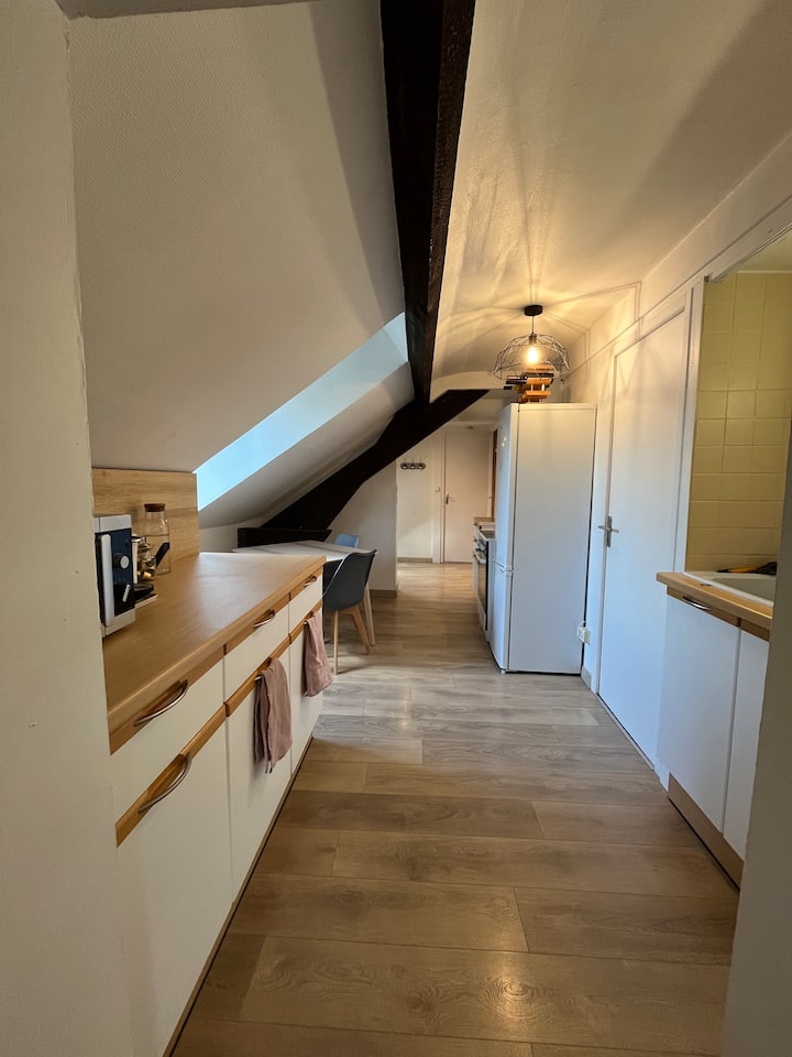 Le Petit Châteaudun - Le Zenith d'Orléans