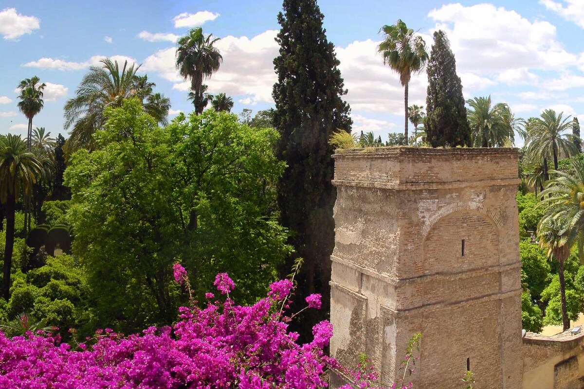 Wow Palacio Tenorio Santa Cruz VI - Hotels for Rent in Seville ...