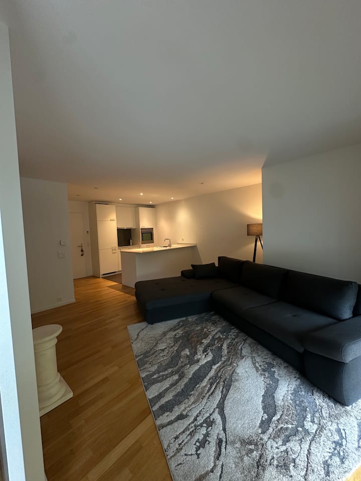 Zentrale Moderne Wohnung – 8 Min Zum Zentrum - Lucerne