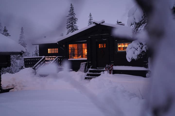 Sjarmerende Og Usjenert Hytte På Naturtomt - Norway
