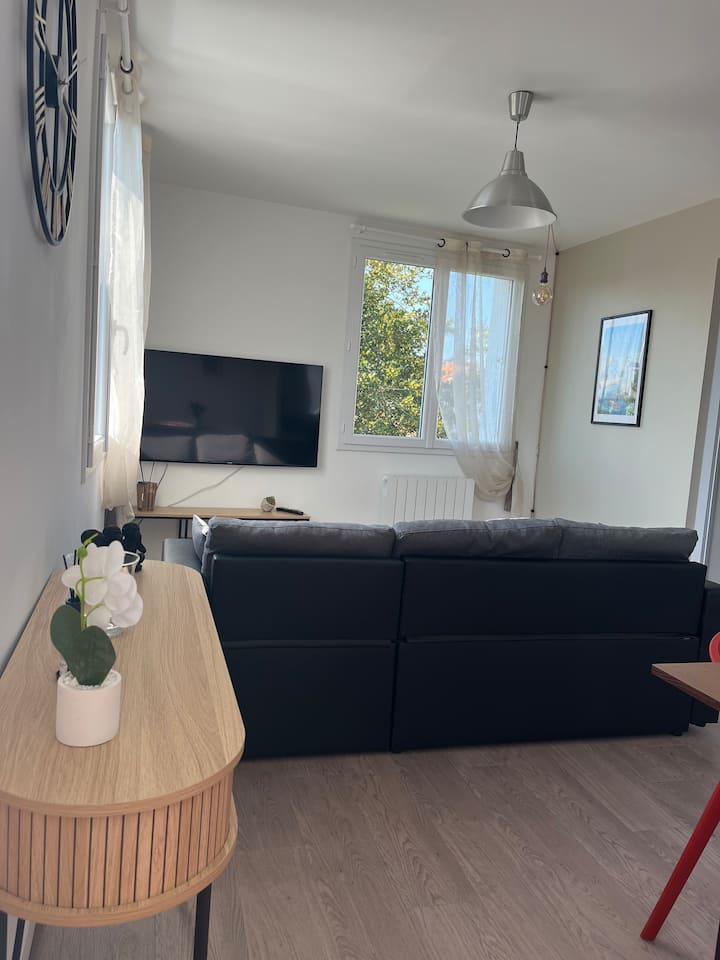 Bel Appartement Meublé Spacieux « Le 195 » - Marais poitevin