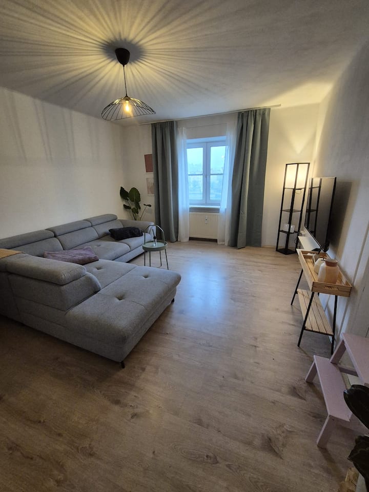 Helles Altbau-apartment Mit Donaublick - Passau