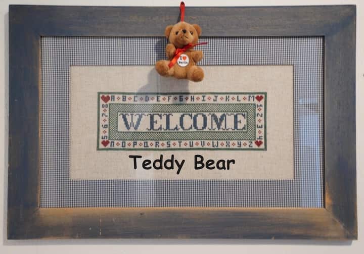 Teddy Bear Un Caldo Abbraccio Nel Centro Di Biella - Biella