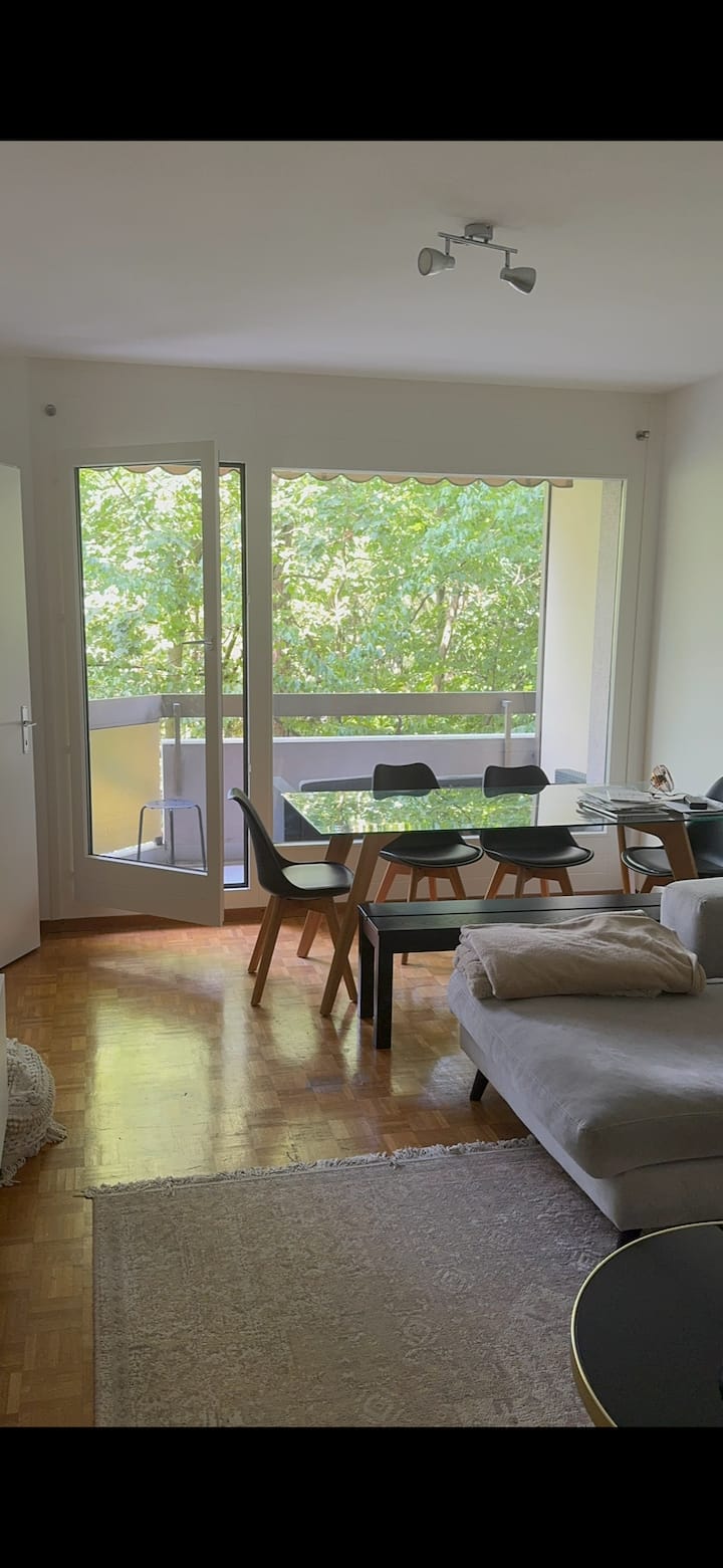 Magnifique Appartement 2 Chambres, Calme Et Propre - Genève