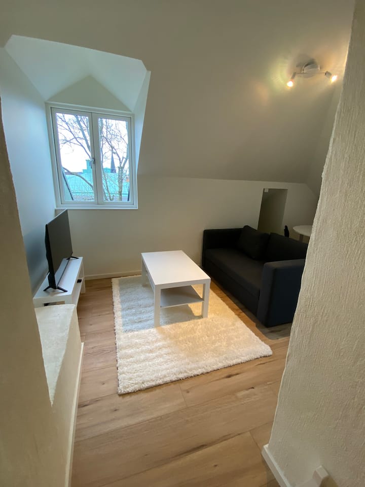 Nybyggdvindslägenhet I Centrala Uppsala (1402c) - Uppsala