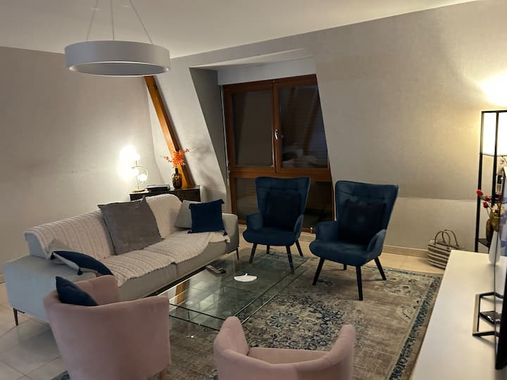 Grand Appartement Parking Gratuit - Illkirch-Graffenstaden