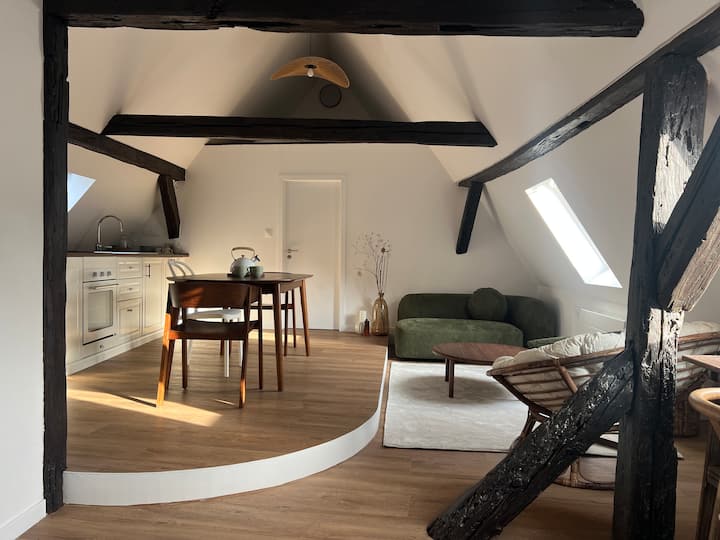 4 - Charmant Appartement Sous Les Combles - Barr