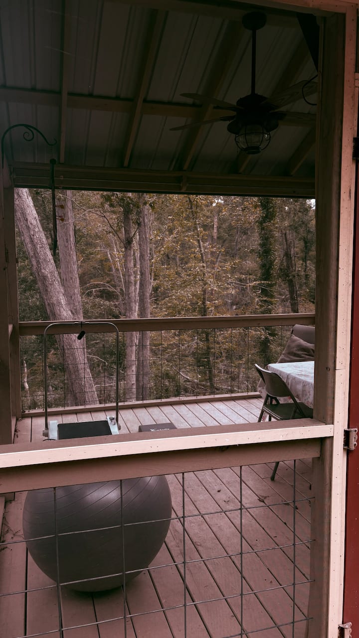 Cozy Sweetwater Chalet By The Creek - North Augusta, SC