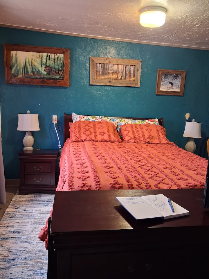 Cozy Studio Apt In The Heart Of Town - Lake City, CO