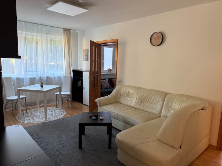 Good Vibes Flat In Kaunas - Kaunas