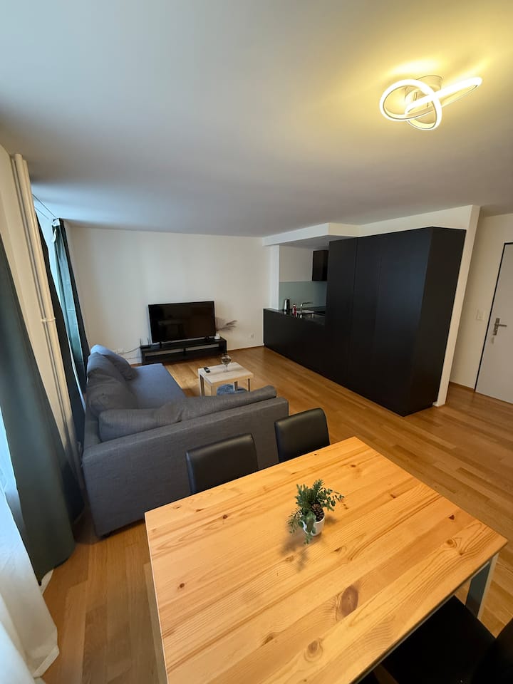 Wohnung Im Herzen Von Zürich - Zúrich, Suiza