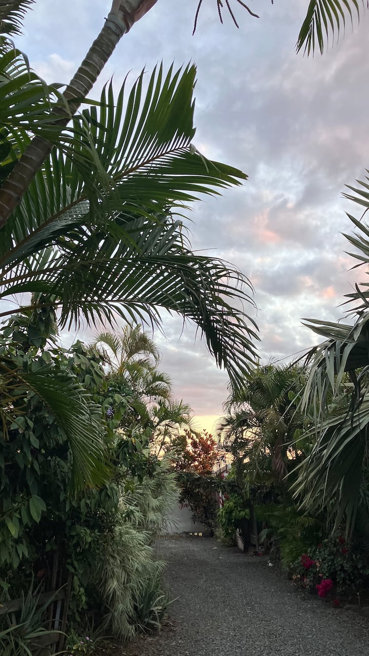 Ti Bois De Nèfles Coco - Bambou - Saint-Pierre