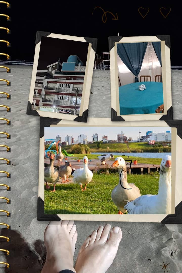 Edificio Frente Al Mar Y Parque Mogotes. - Mar del Plata