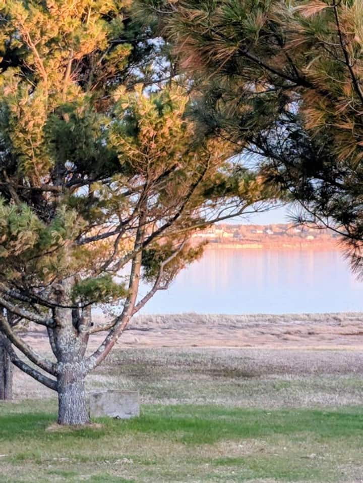 Entre Pins Et Mer - Caraquet