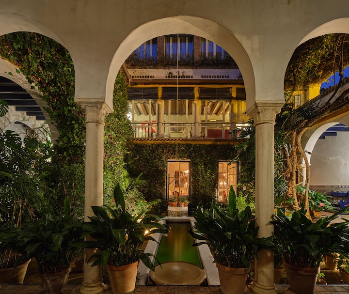 Waou Palacio Tenorio Santa Cruz Viii - Seville