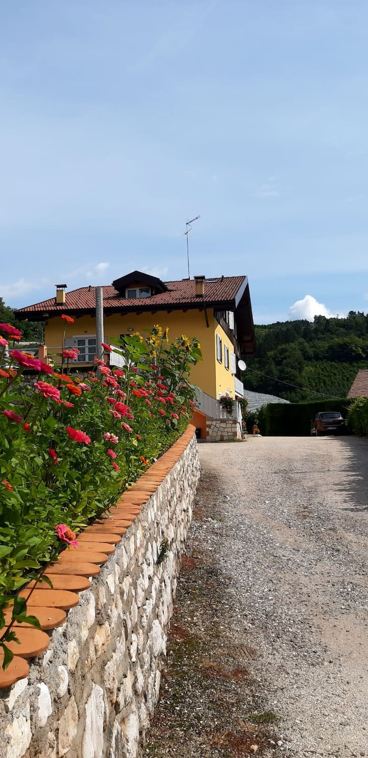 Agritur Casa Al Mulino A Due Passi Da S.romedio - Cles