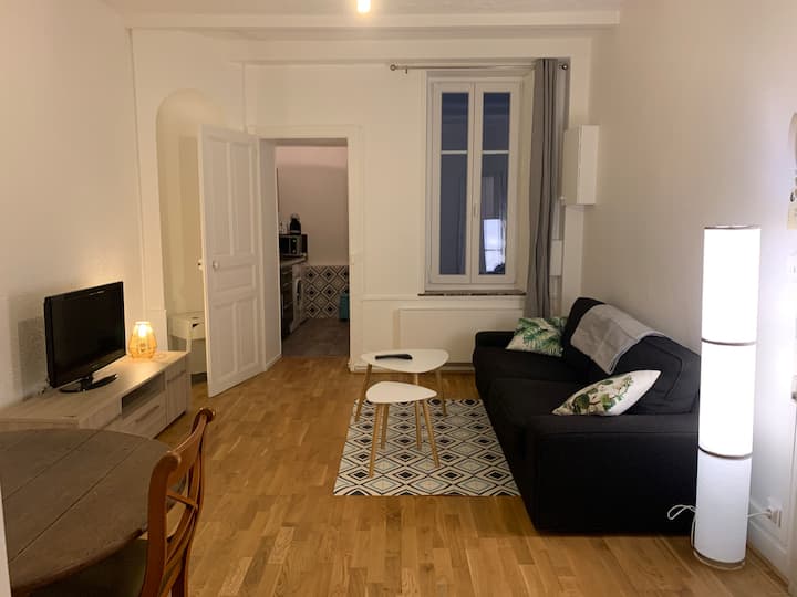 Spacieux & Calme, 10 Min Gare/centre, Commerces - Nancy