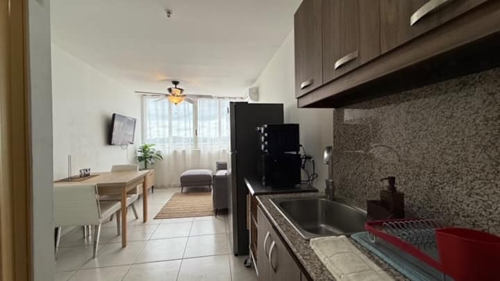 Cozy Apt+wifi+kitchen+ac+pool+gym+work Area@panamá - Panama City