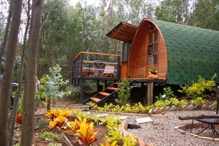 Silua Ecoglamping En El Medio Del Bosque - Tibasosa