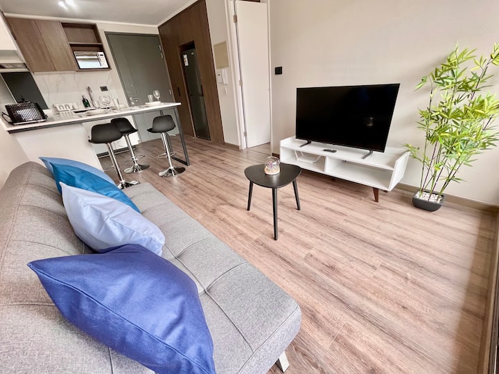New, Downtown, Cozy Apt. With Pool And Gym - Santiago