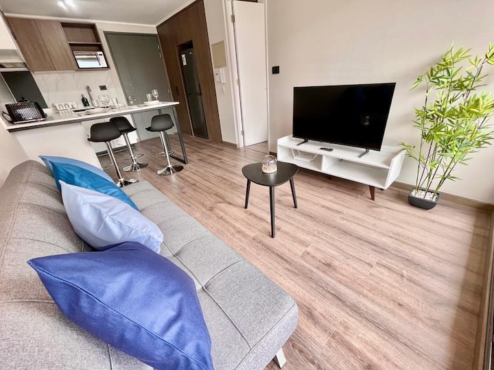Attraction Apt. In Historic Center, Pool And Gym - Santiago