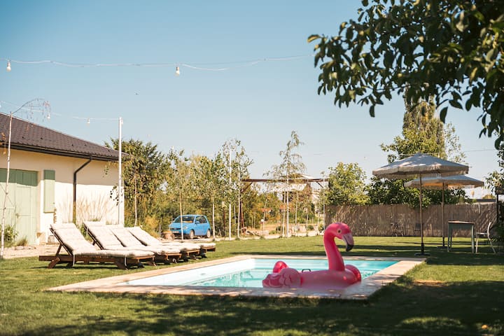 The Rose Farm Apartment 1 - Comuna Snagov