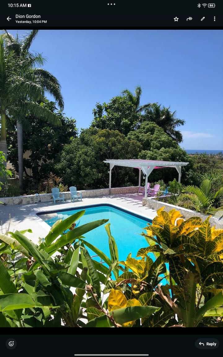 Private Pool And More - Montego Bay