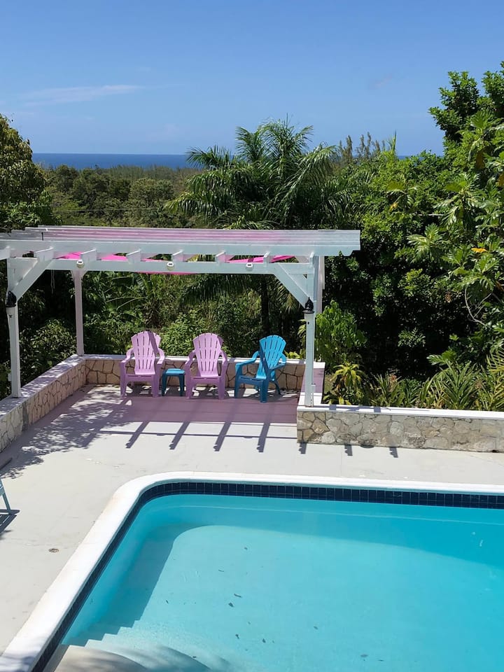 Private Pool And More - Montego Bay
