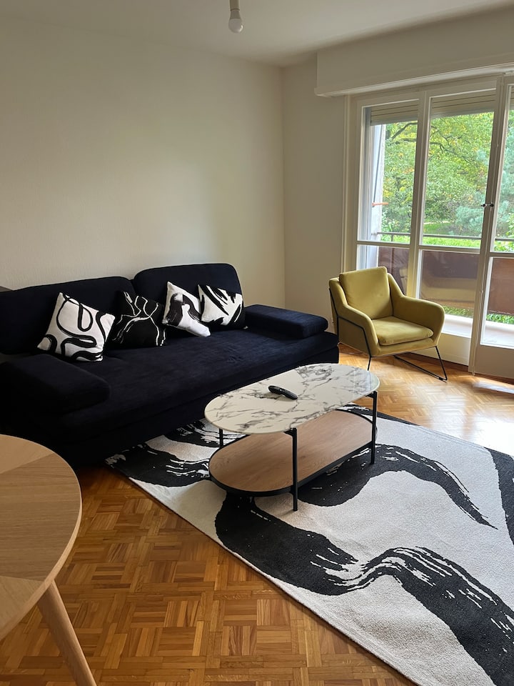 Magnifique Appartement - 洛桑市