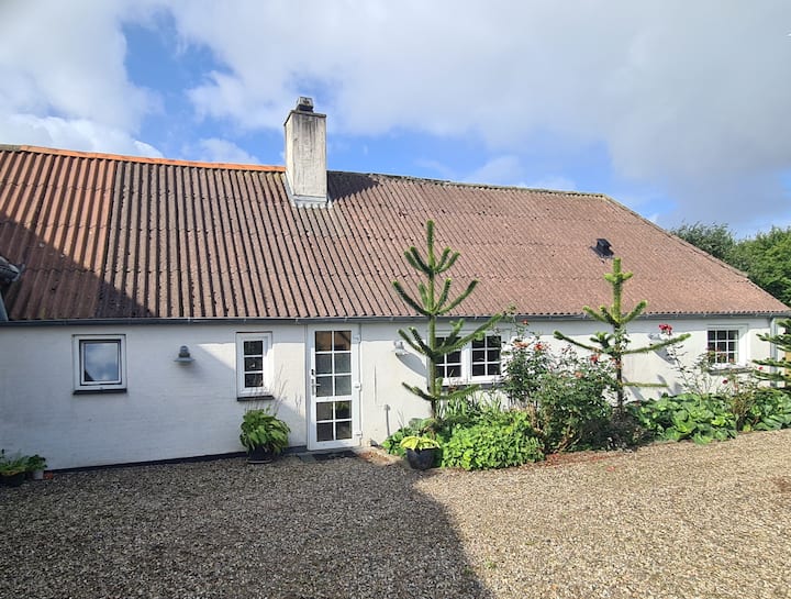 Bondegårds Ferie På Hesteejendom
Dejlig Natur - Thorsminde