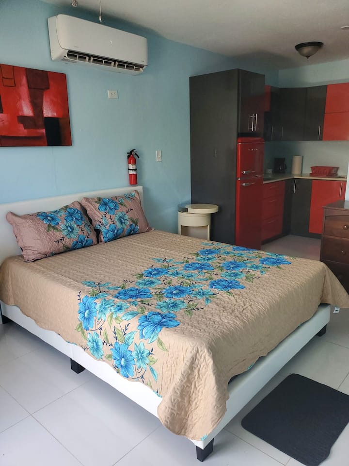 30 Day Stay 9 Br Spacious For Big Group Near Ocean - Puerto Rico