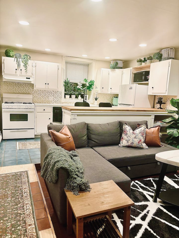 Garden Apt In Little Italy Woster Square Near Yale - New Haven, CT
