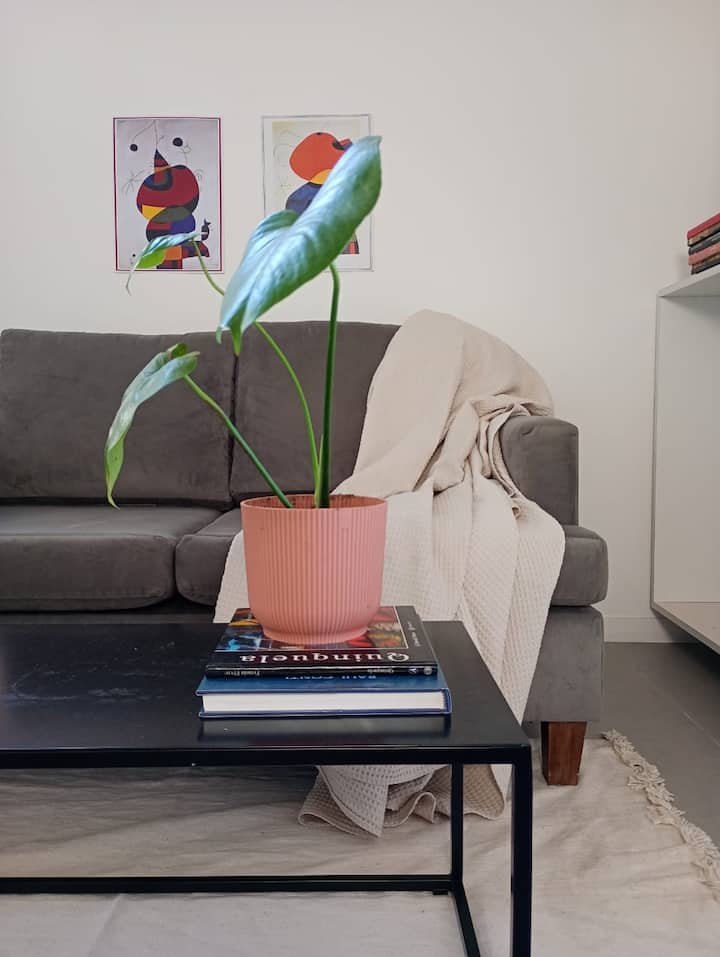 Departamento De 2 Ambientes Con Balcón - Argentina