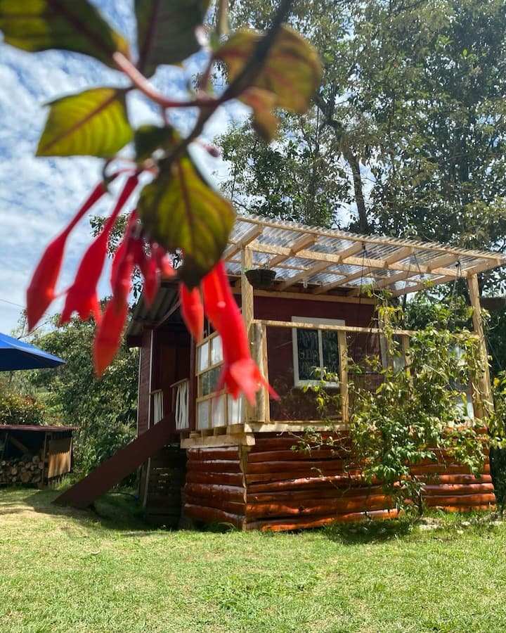 Cabaña Entre Arboles Ideal Para Tu Desconexión - Girardota