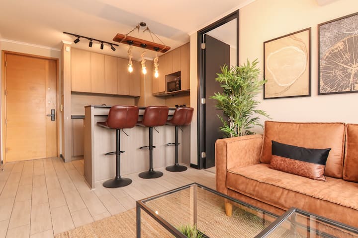 Moderno Apartamento Barrio Italia ÑUñoa - Santiago
