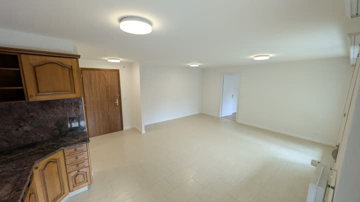 Appart F18 Lumineux Et Fraichement Rénové - Martigny