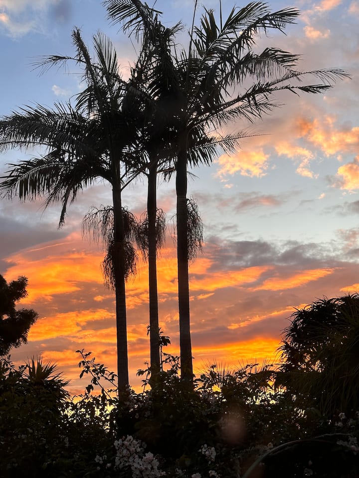 Strawberry Cottage - Huapai