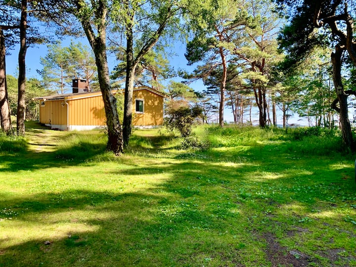 Privat Sandstrand Og Koselig Hytte I Flott Natur - Moss