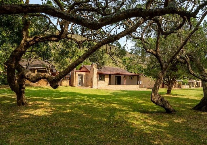 Tranquil Lake Escape • Modern Comfort & Nature - Knysna