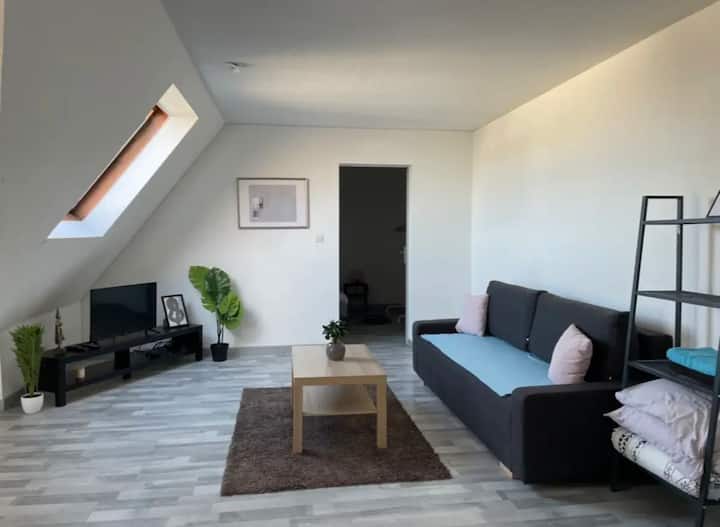 Strasbourg / 5 Min Du Centre En Tramway - Eckbolsheim